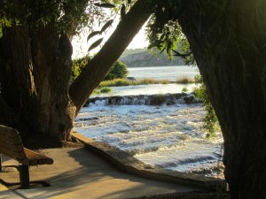 Giant Springs State Park, Great Falls, Montana – Colorado Traveling Ducks