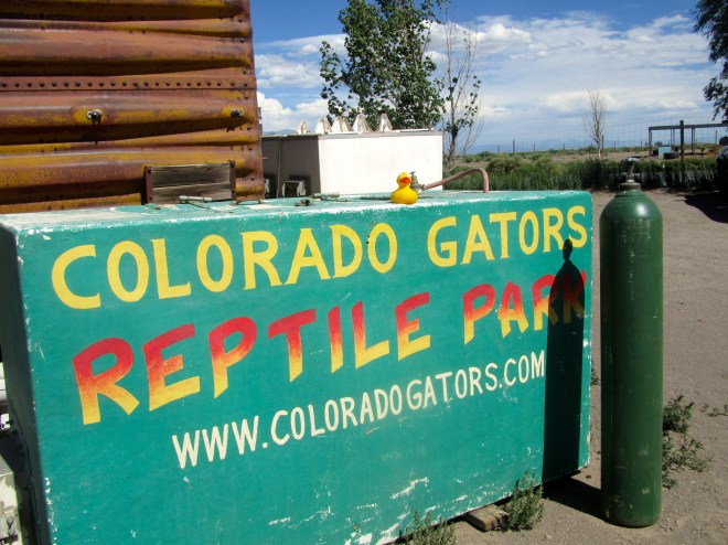 Colorado has an Alligator Farm – Colorado Traveling Ducks
