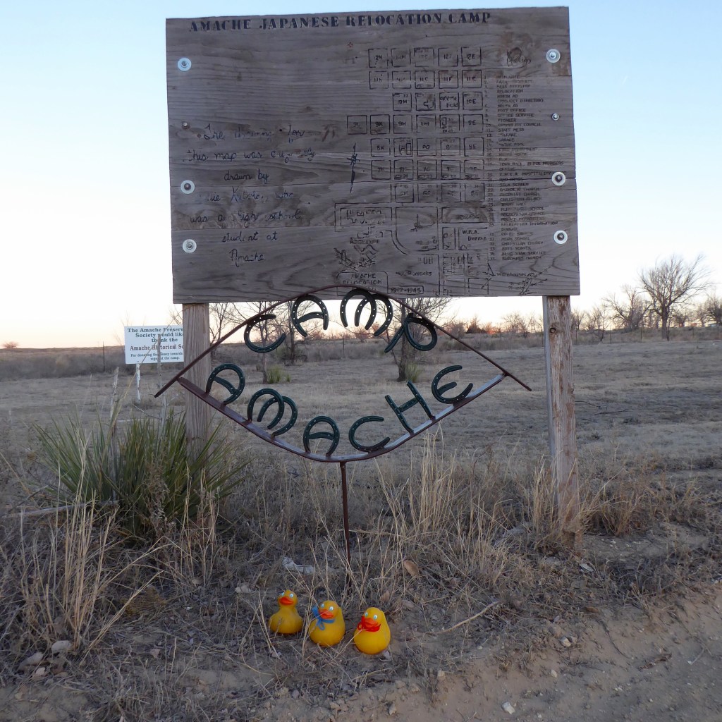 Camp Amache – Colorado Traveling Ducks